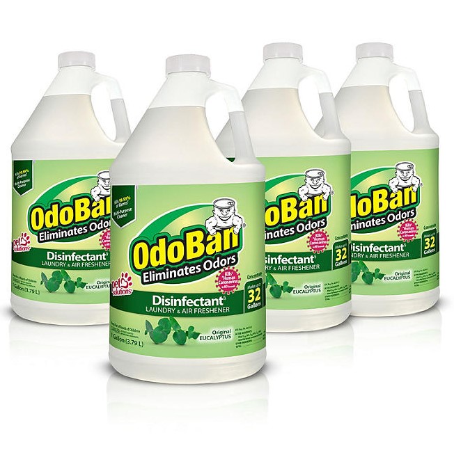 OdoBan Odor Eliminator and Disinfectant Concentrate, 4 pk., - Polestar ...